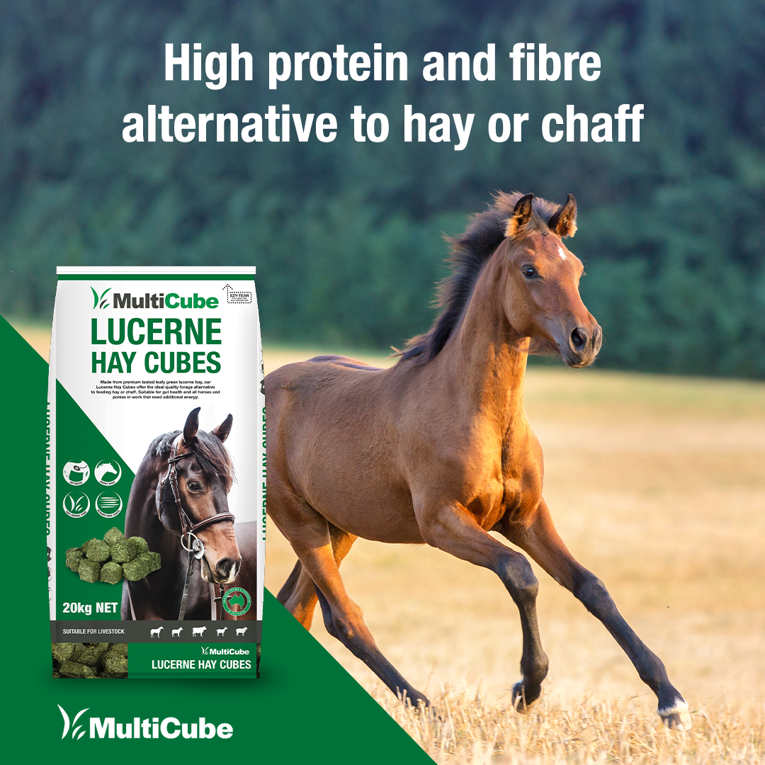 MultiCube Stockfeeds